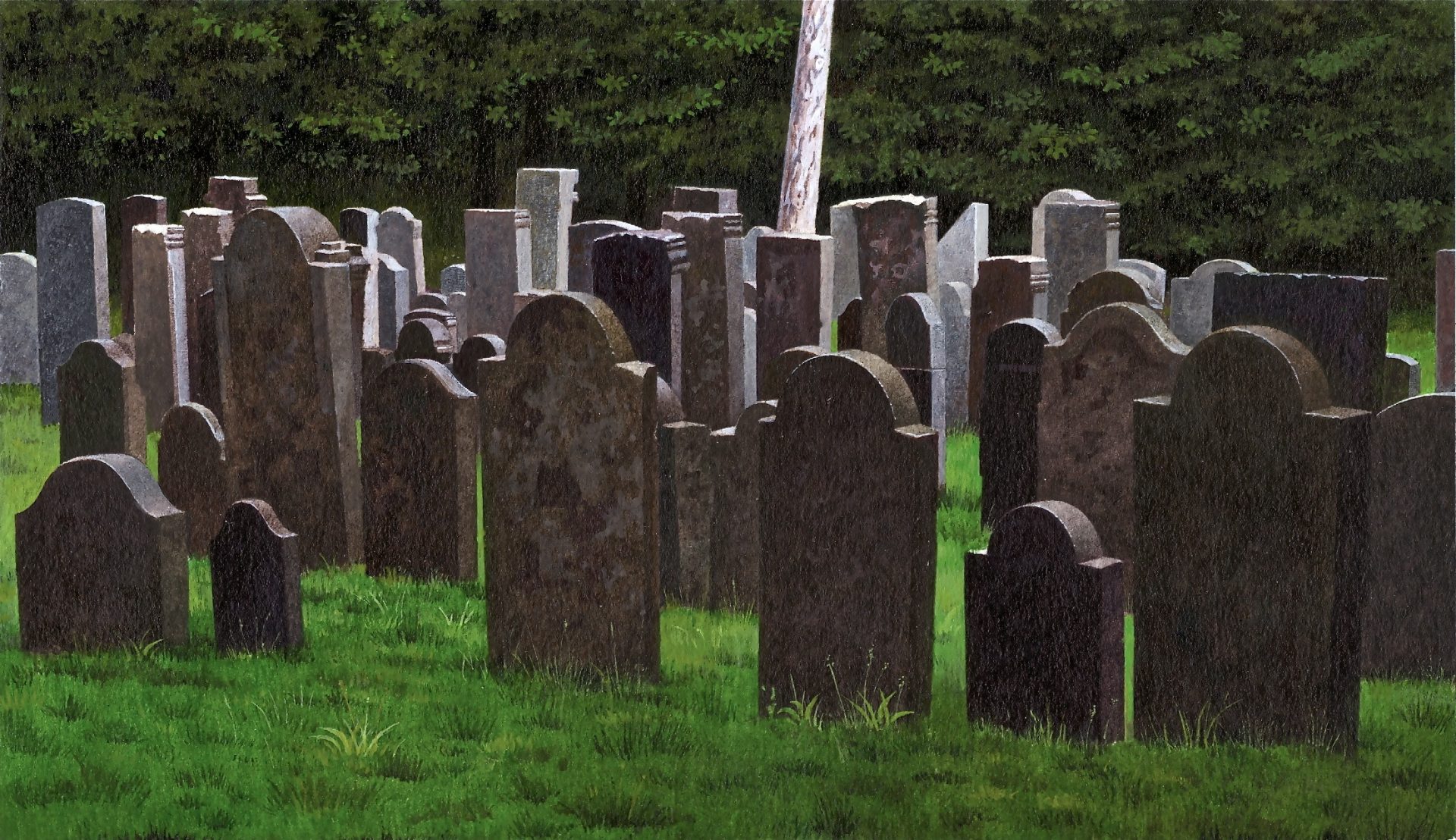 Alexander Calvelli - Kunstverein Elmshorn e. V.